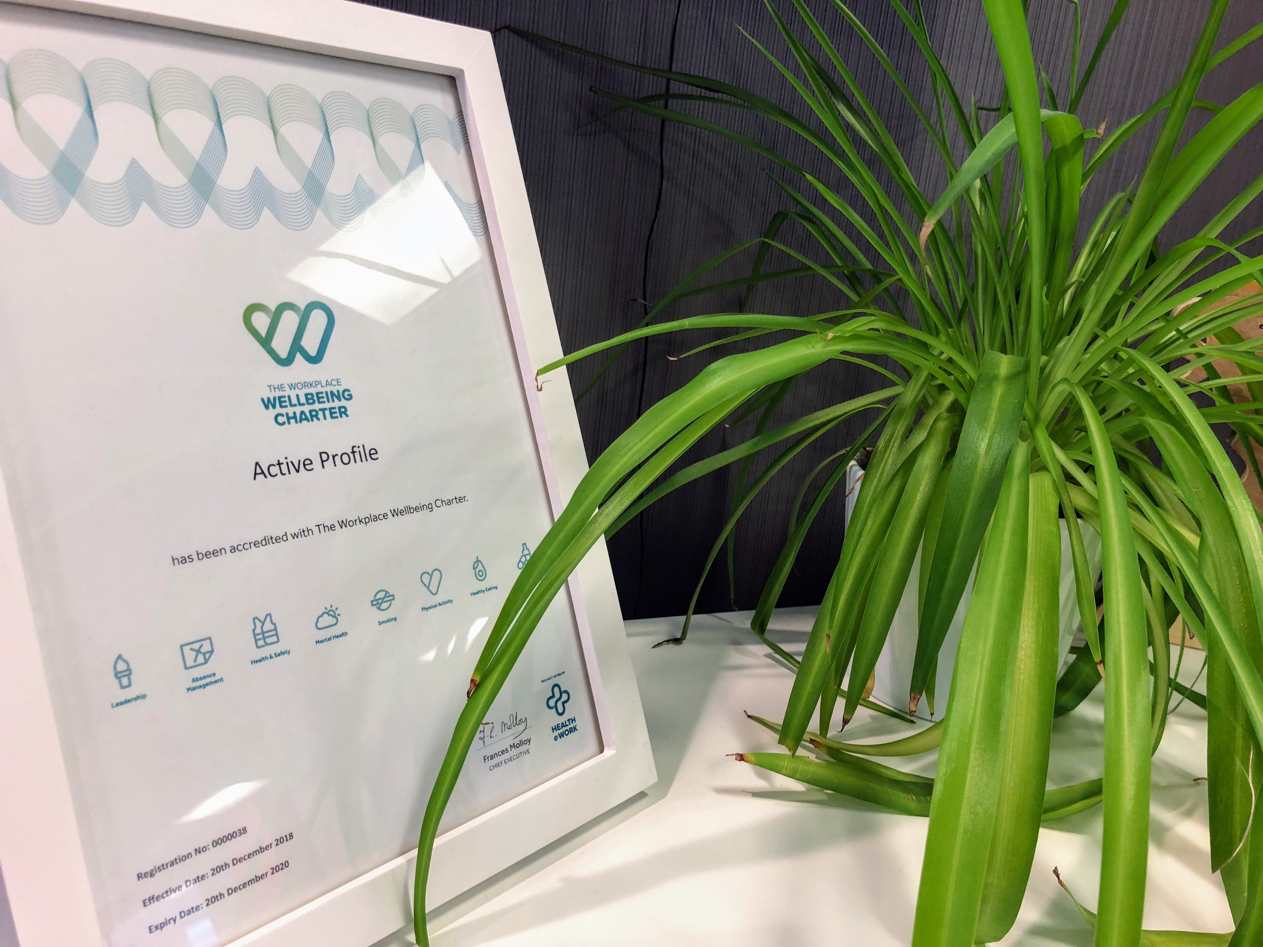 Active Profile awarded Workplace Wellbeing Charter accreditation
